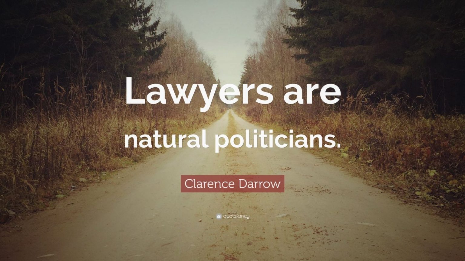 Lawyers + Politics = Polarization & Discord – Ronald E. Yates